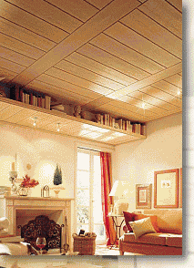 Natura Holz Felber - Hochwertige Wand- und Decken-Paneele